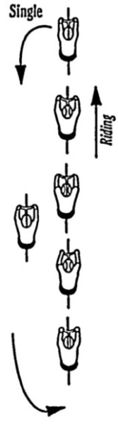 Peaks Coaching: The Four Types of Pacelines - Bikerumor