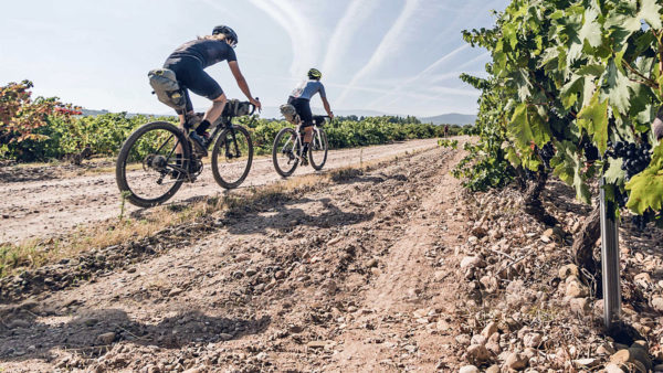 Jeroboam Challenge. Have what it takes for 300km of Italian gravel ...