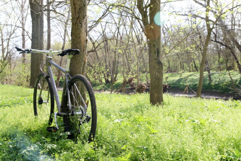 Hands On: roll: Bicycle Company's simple, affordable, and semi-custom ...