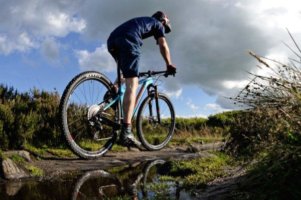 2018 Genesis bikes go road plus, XC carbon, and more new bikes in ...