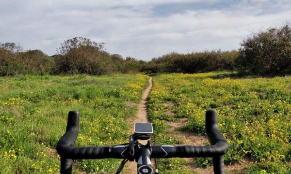 Bikerumor Pic Of The Day: Winter taunting from Israel - Bikerumor