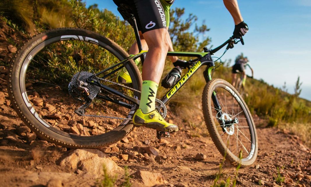 Cannondale Lefty Ocho sheds weight in single crown, standard steerer on ...