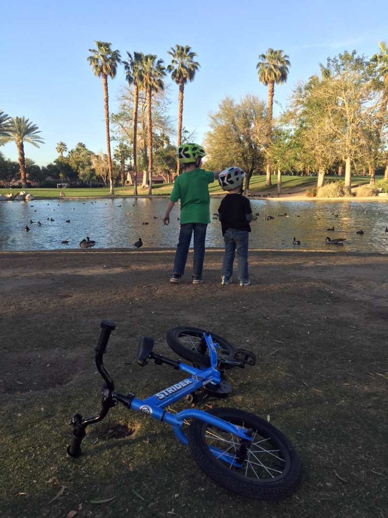 Review: Strider 14x makes it easy to switch from balance bike to pedal ...