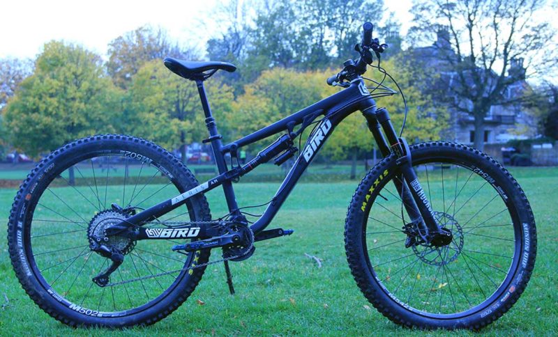 Bird Aeris AM long-term review: Confidence inspiring, playful, and ...