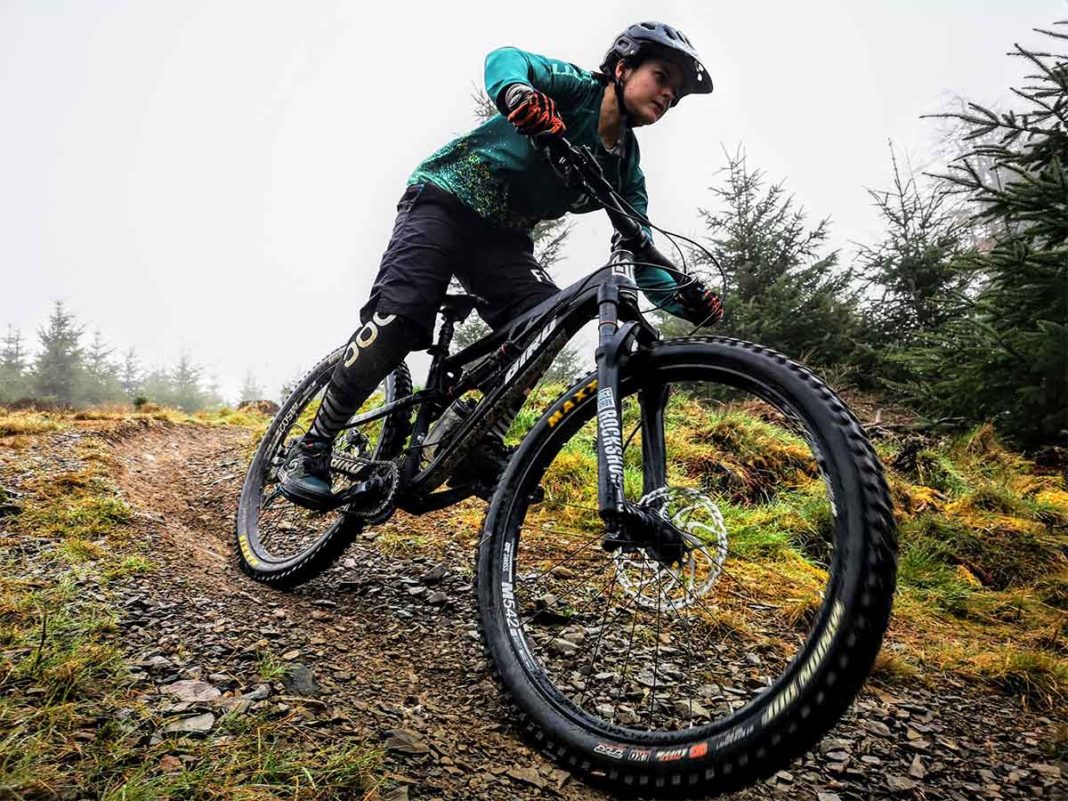 Bird Aeris AM long-term review: Confidence inspiring, playful, and ...