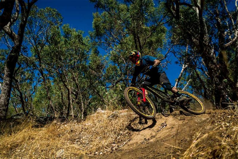 Nukeproof Dissent DH Bike: 4 position flip-chip brings rider-tuneable ...