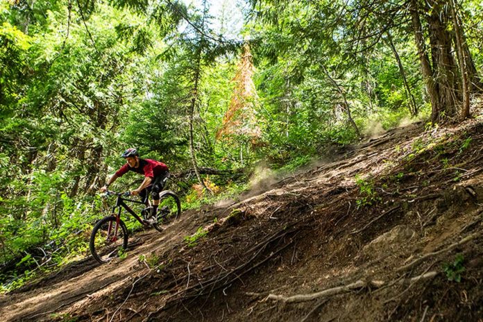 Norco Sight 2020 vision realized with Norco Ride Aligned science of ...