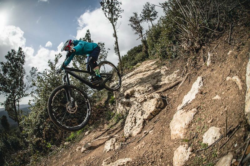 Formula Mod Coil Shock springs to life, reshim-able by you with three ...