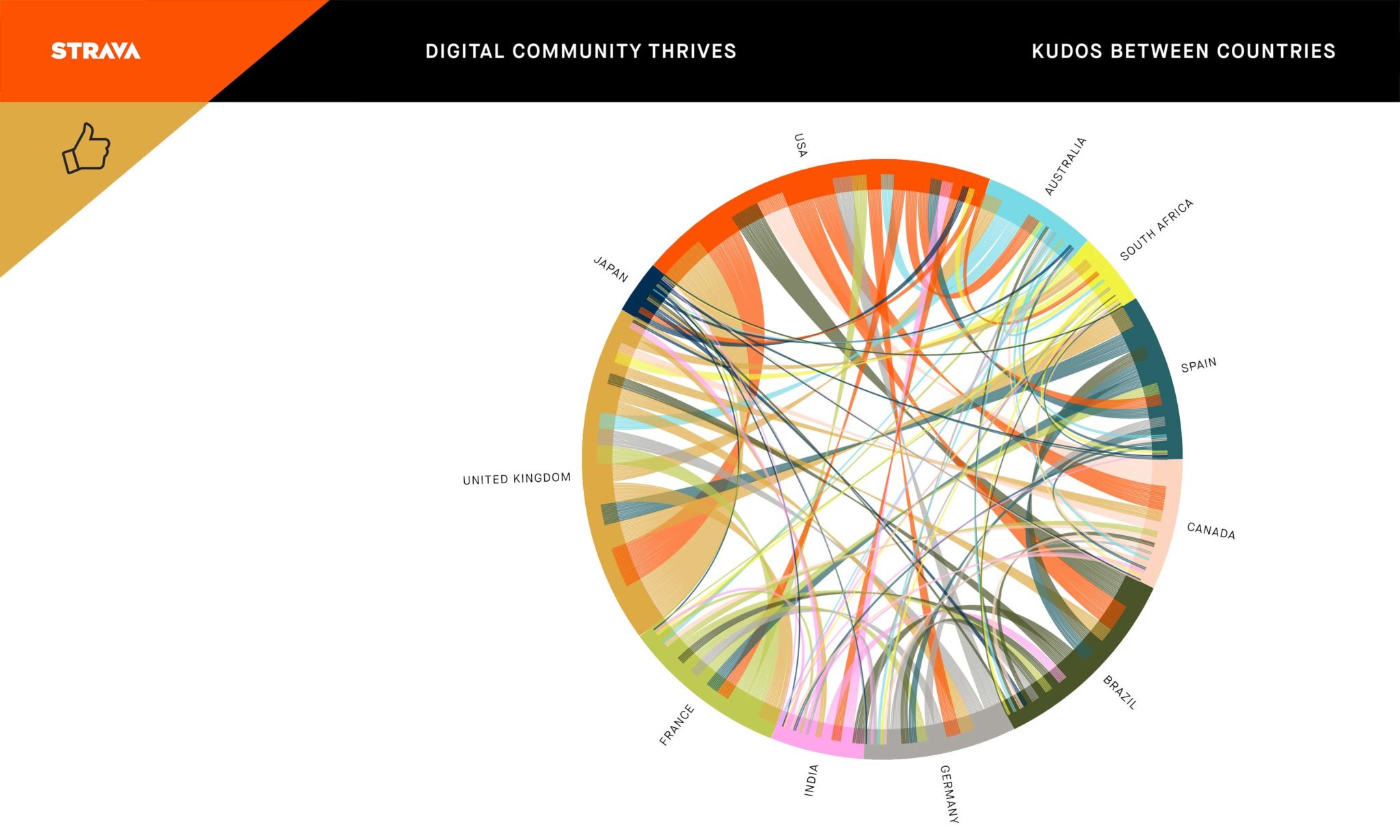 Strava 2021 Year in Sport shows 63% growth in activities! - Bikerumor