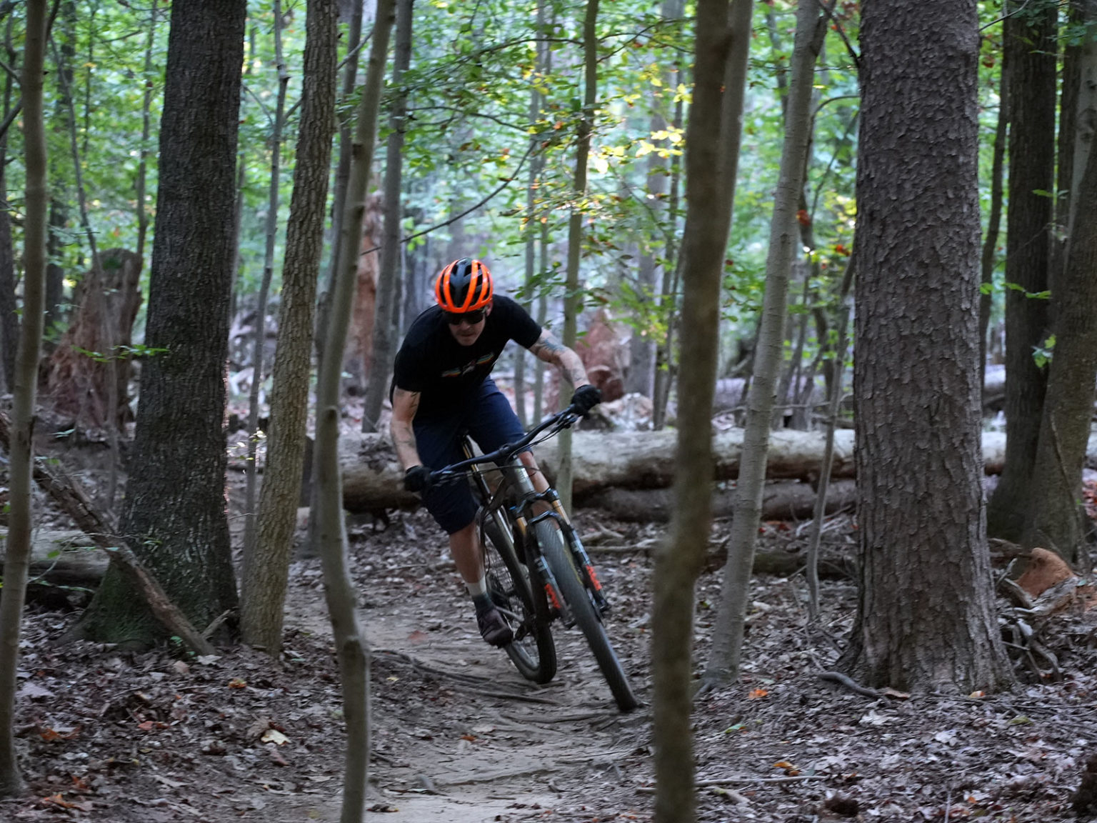 Review: Litespeed Pinhoti III shapes ti tubes into trail-worthy ...