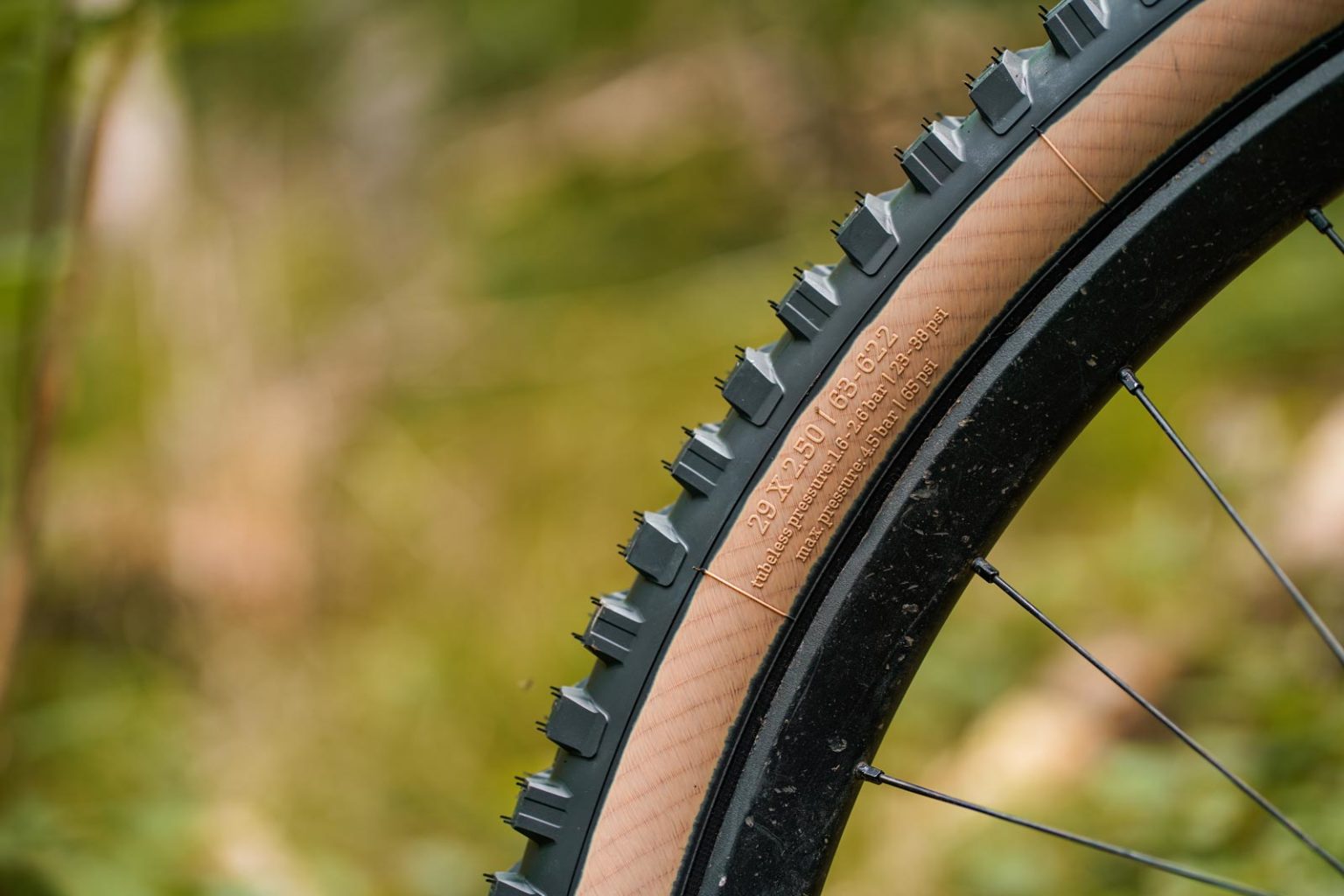 Onza Aquila Downhill Tire Bites Back with 29" x 2.5" and Taller Knobs ...