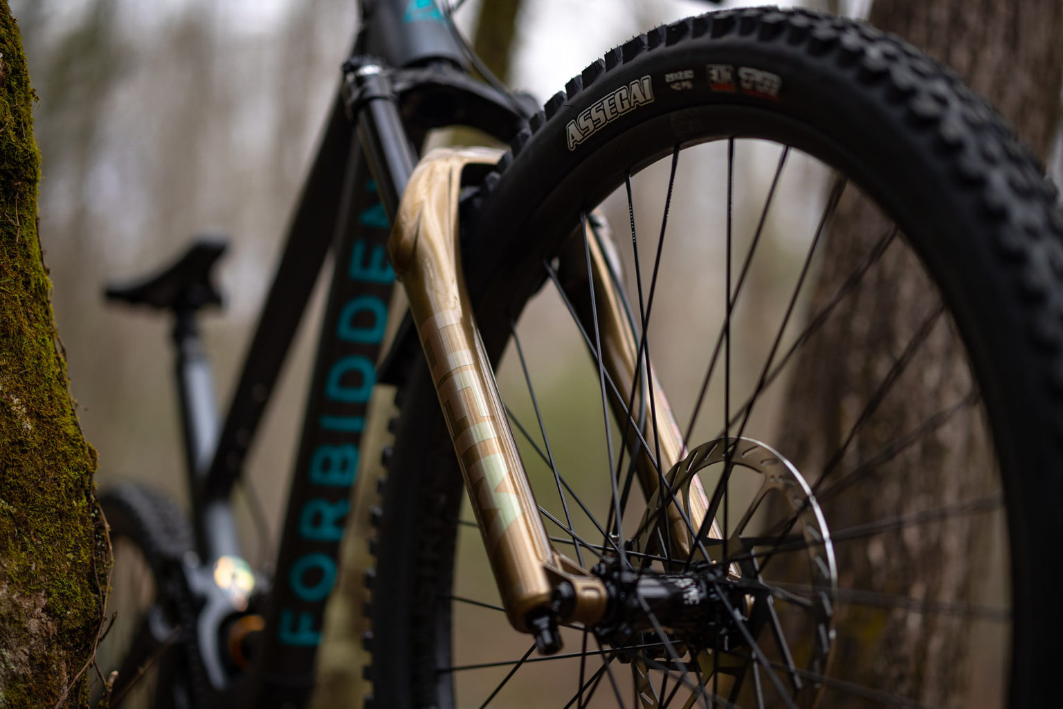 Limited Edition Cane Creek Helm Chameleon shines, good trail karma ...