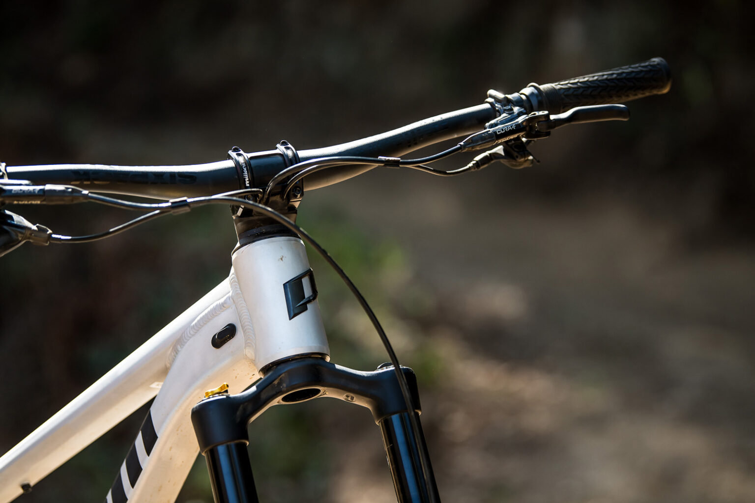 The 2023 Propain Tyee Enduro Bike Must Be Considered - Bikerumor