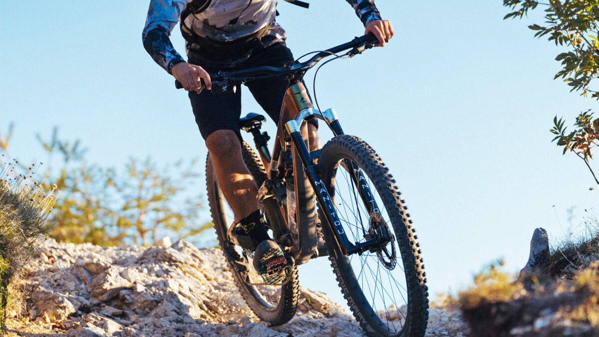 Mountain Bike - Page 14 of 384 - Bikerumor