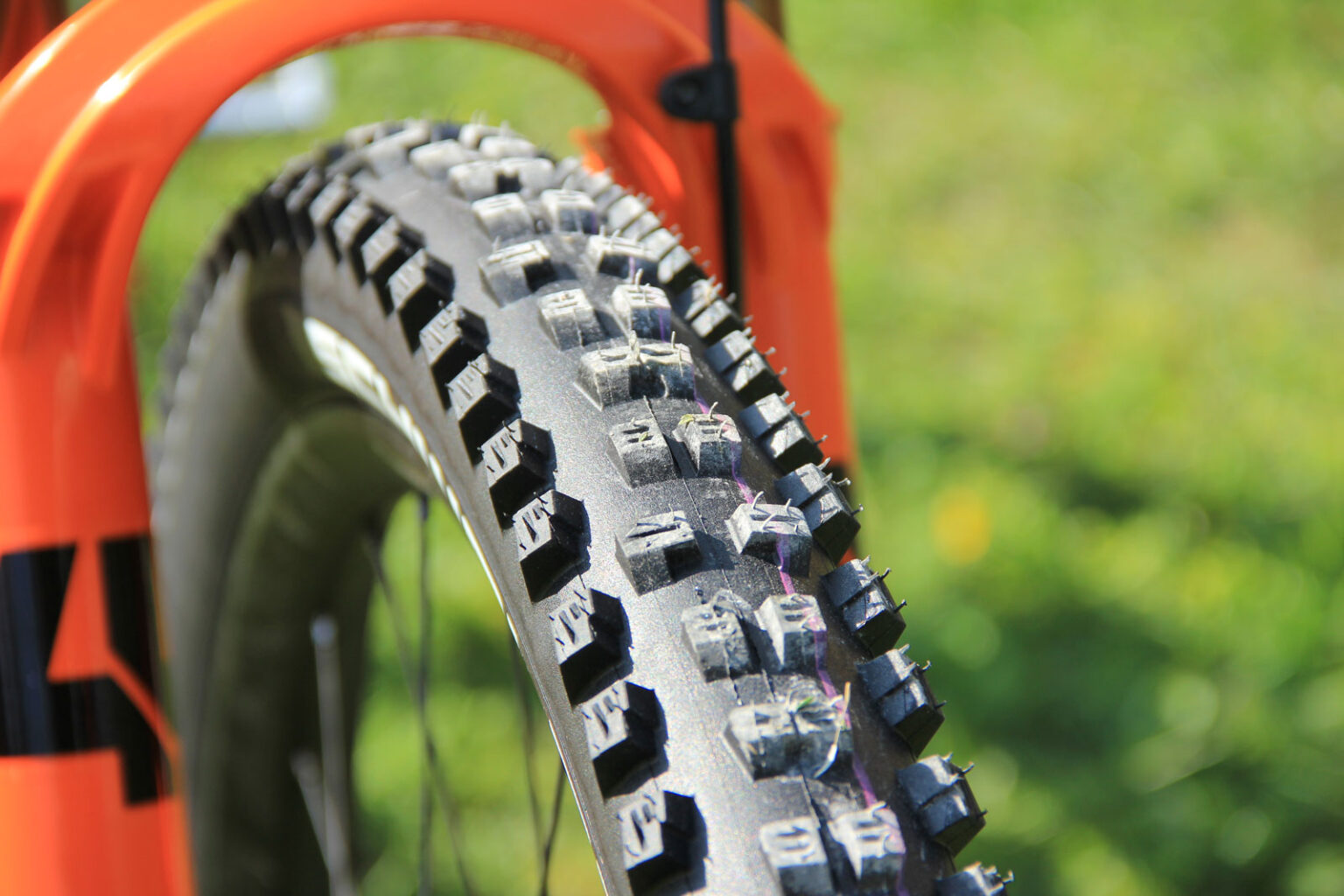 Schwalbe Announce Tacky Chan DH Tire as Ordered by Daprela & Pierron ...