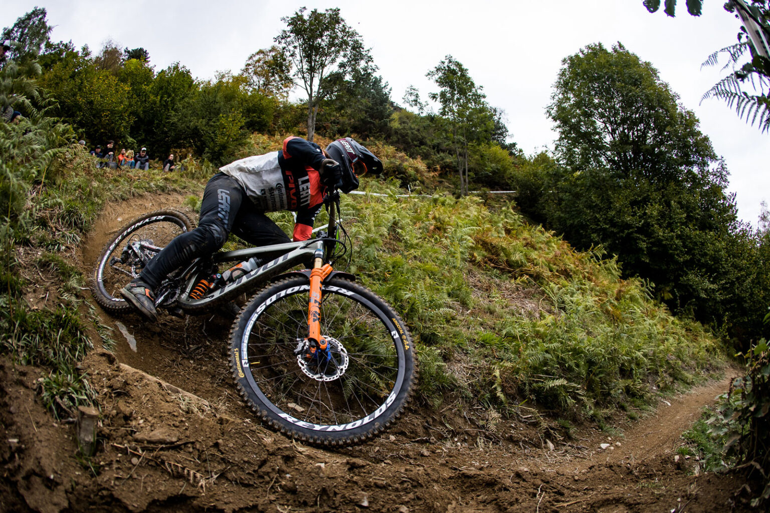 Reynolds Renew Blacklabel 307 & 309 Wheels with More Compliance for ...