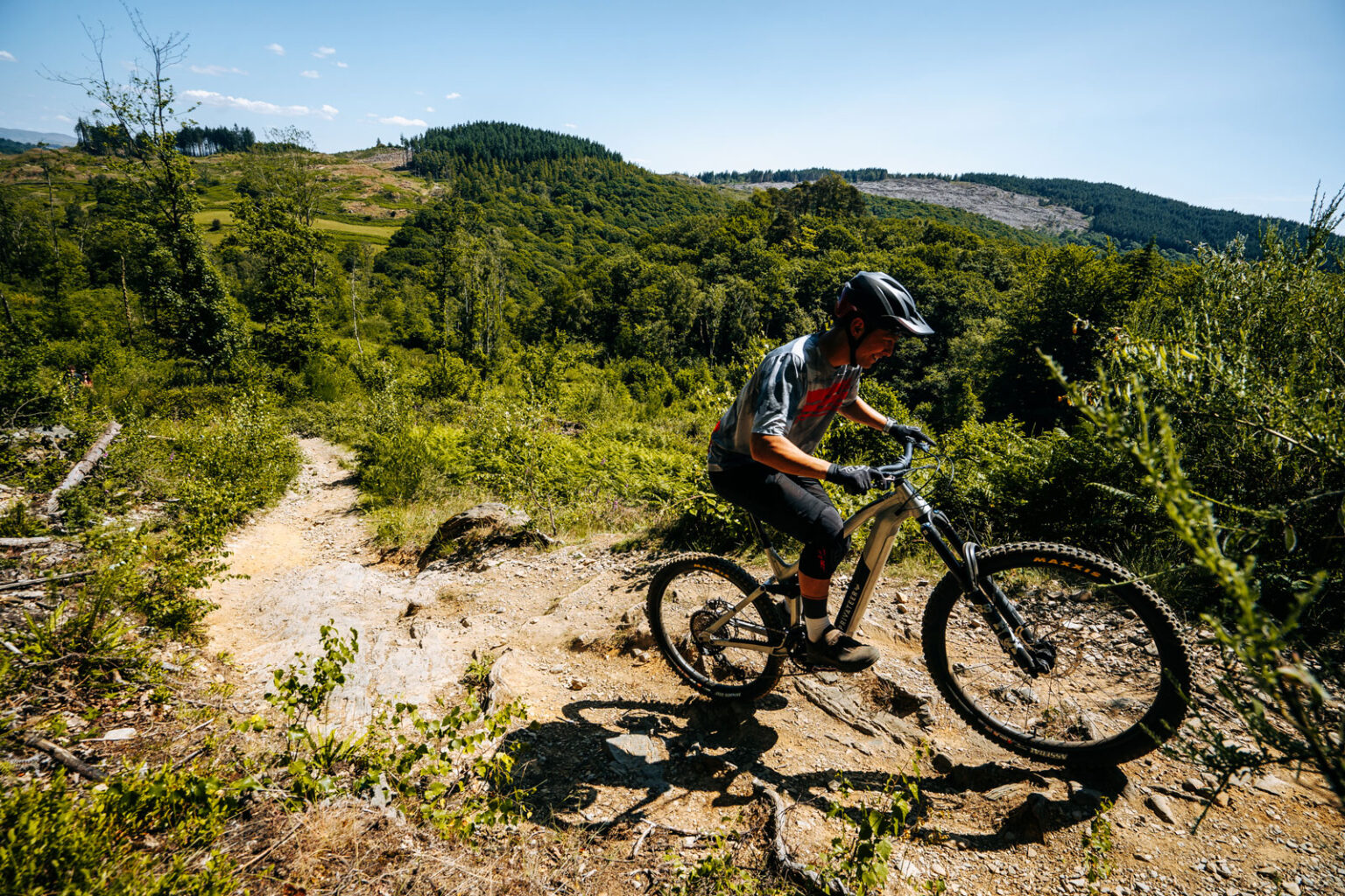 Privateer e161 is a New Well-Priced Enduro eBike - Bikerumor