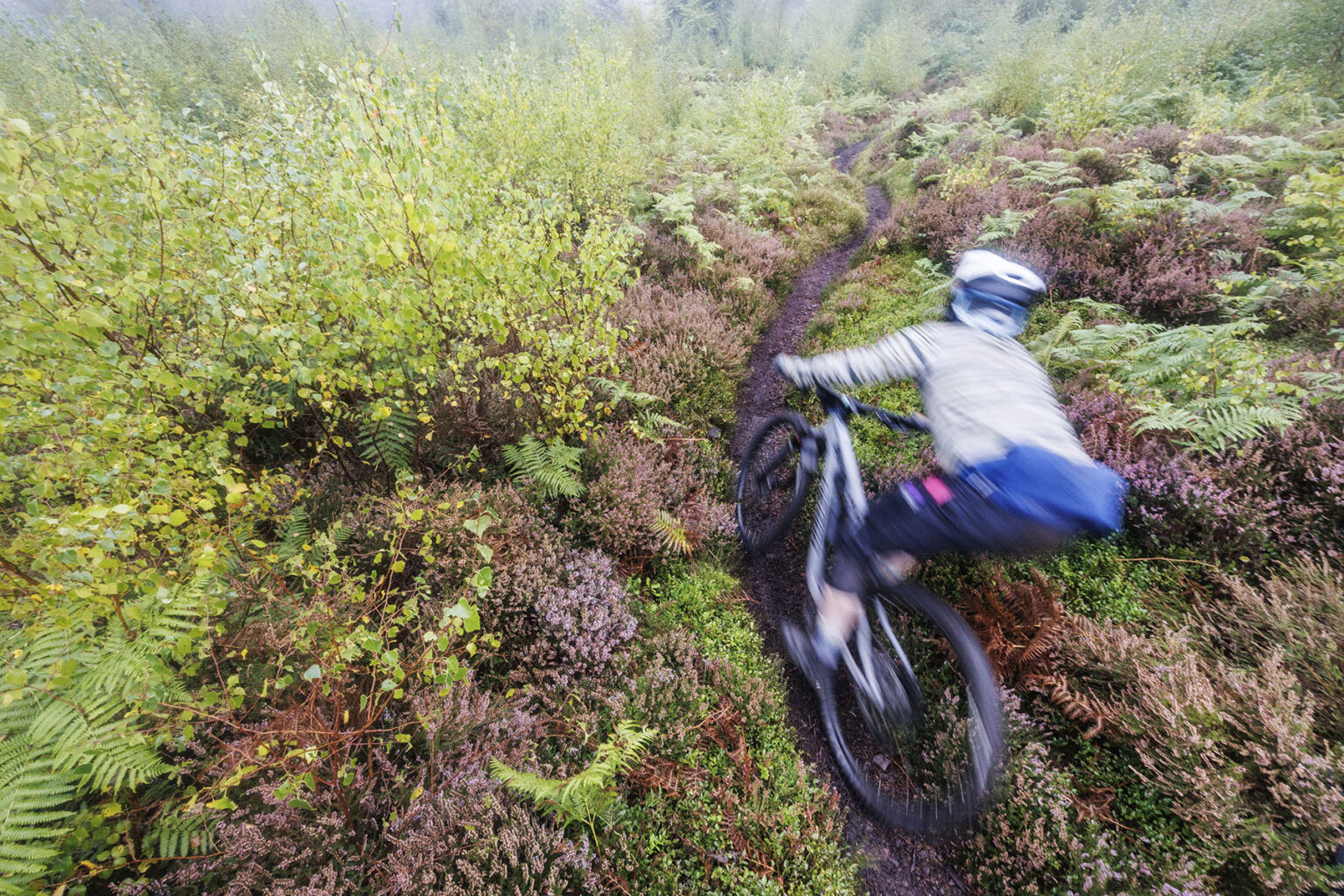 Review: Affordable Alloy Merida One-Twenty Mountain Bike Tames More ...