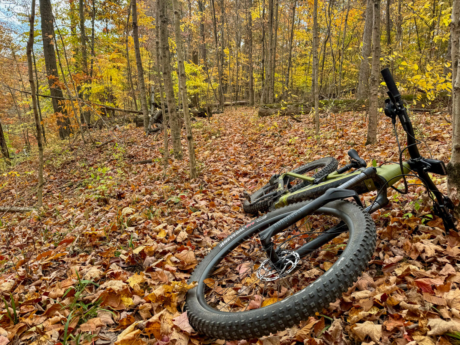 REI Co-op DRT e3.1 eMTB Review: Better Than You Think for Less Than ...