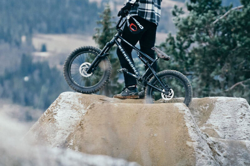 WeThePeople Swamp Master Goes Full MTB on Full-Suspension BMX ...