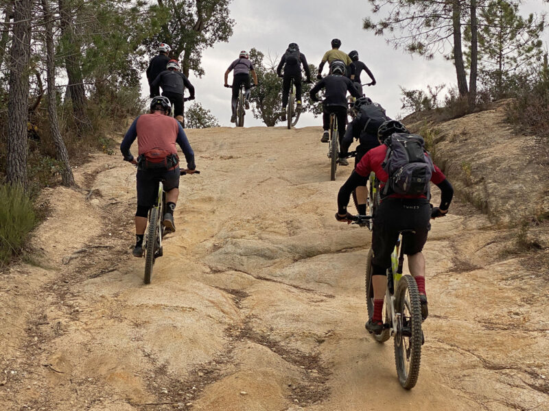 Scott Ransom 900 RC Review: Go Big on a DH-Ready Enduro Bike I Can ...