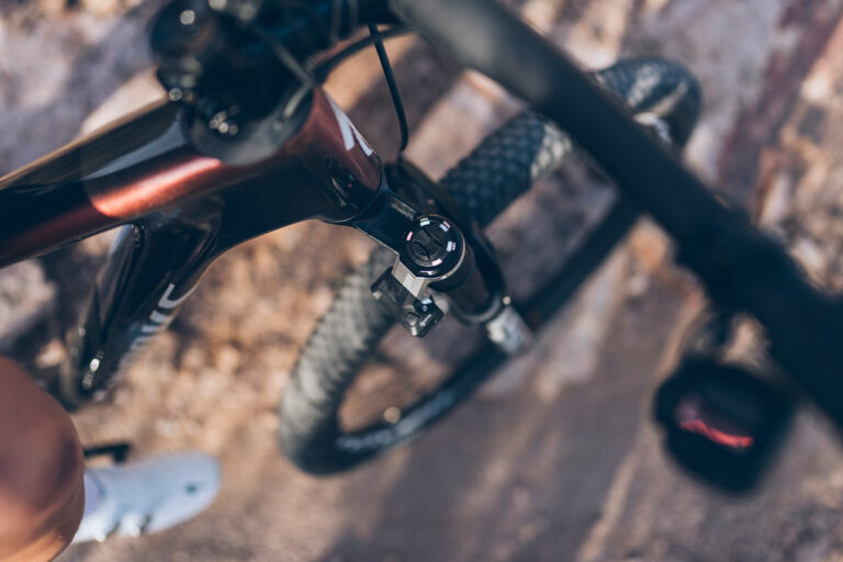 flight attendant - Bikerumor