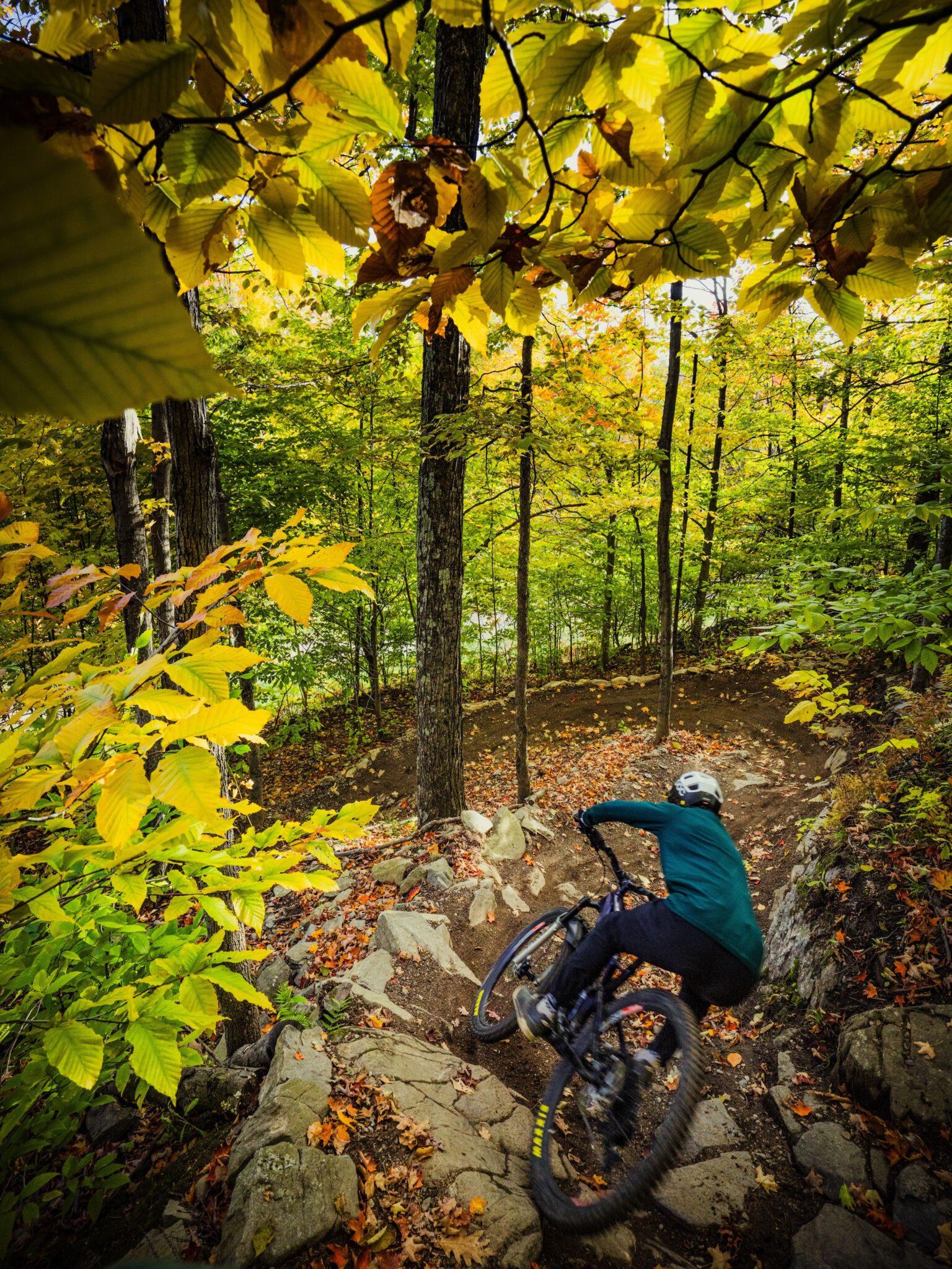 The Best Mountain Bike Handlebars of 2025 - Bikerumor