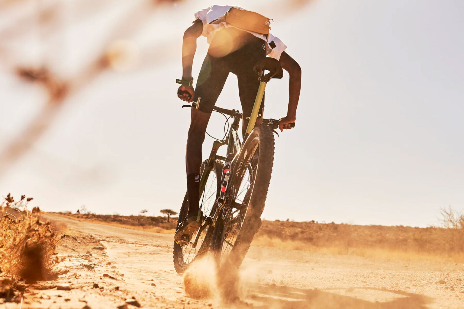 Mountain Bike - Bikerumor