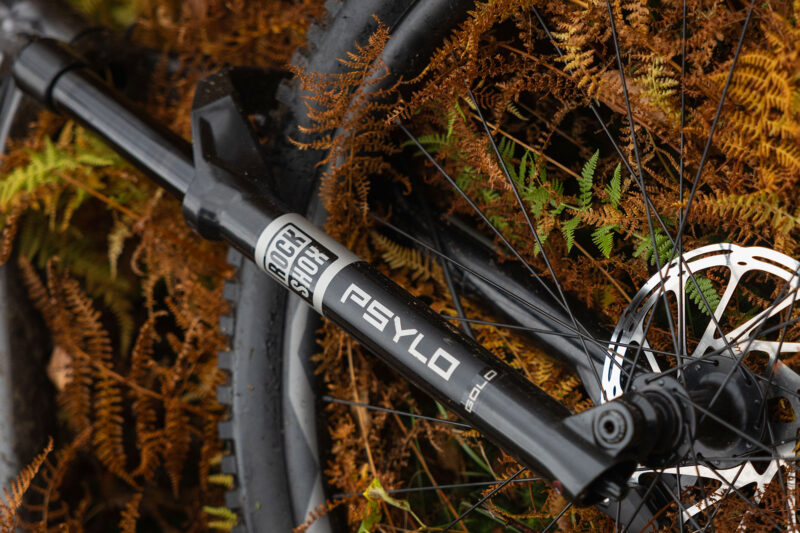 All-New 2025 RockShox Psylo & Domain Forks Channel Pike & Zeb MTB ...