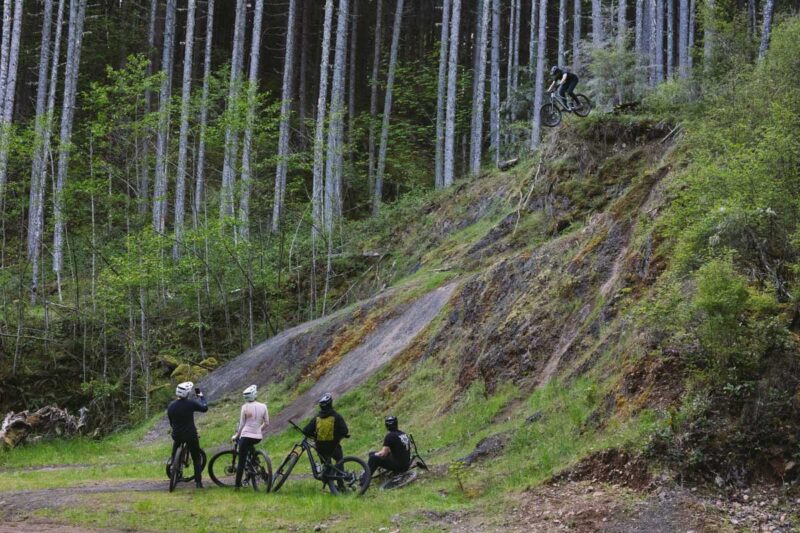 Specialized Stumpjumper 15 Redefines Trail Bike Capability w/ Genie ...