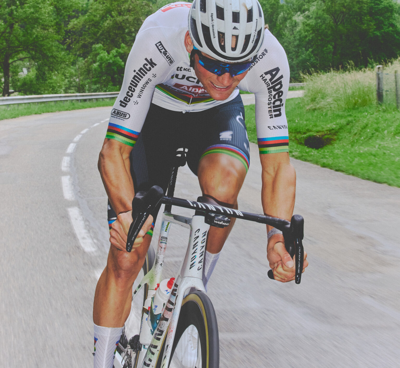 Zwift Announces Tour of Watopia Route, Plus Ride with MVDP & Free Zwift ...