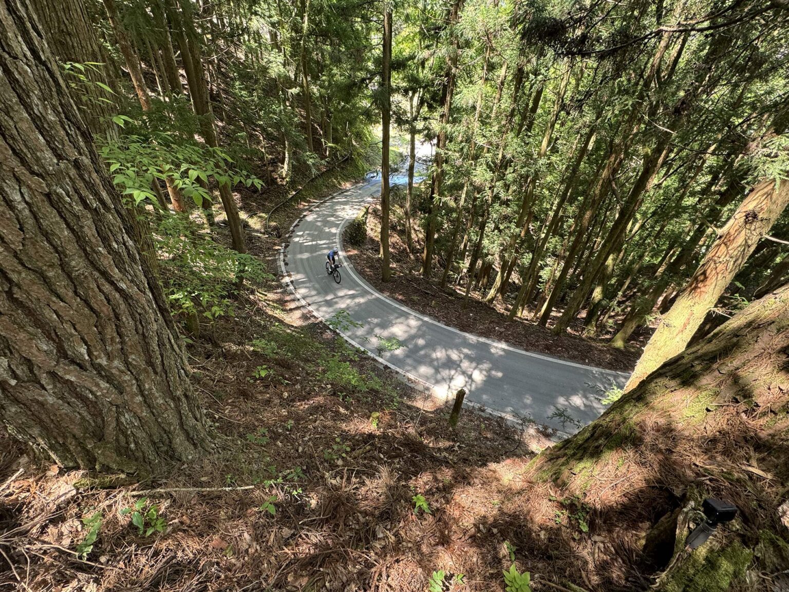 Review: Ride & Seek Samurai Cycling Tour Delivers a Quieter Side of ...