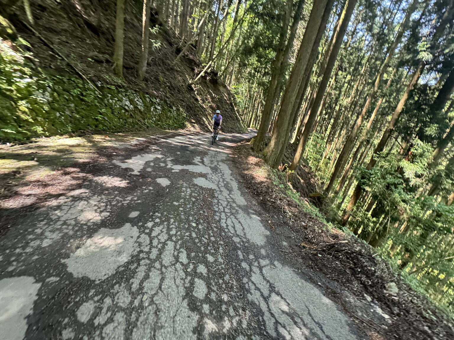 Review: Ride & Seek Samurai Cycling Tour Delivers a Quieter Side of ...