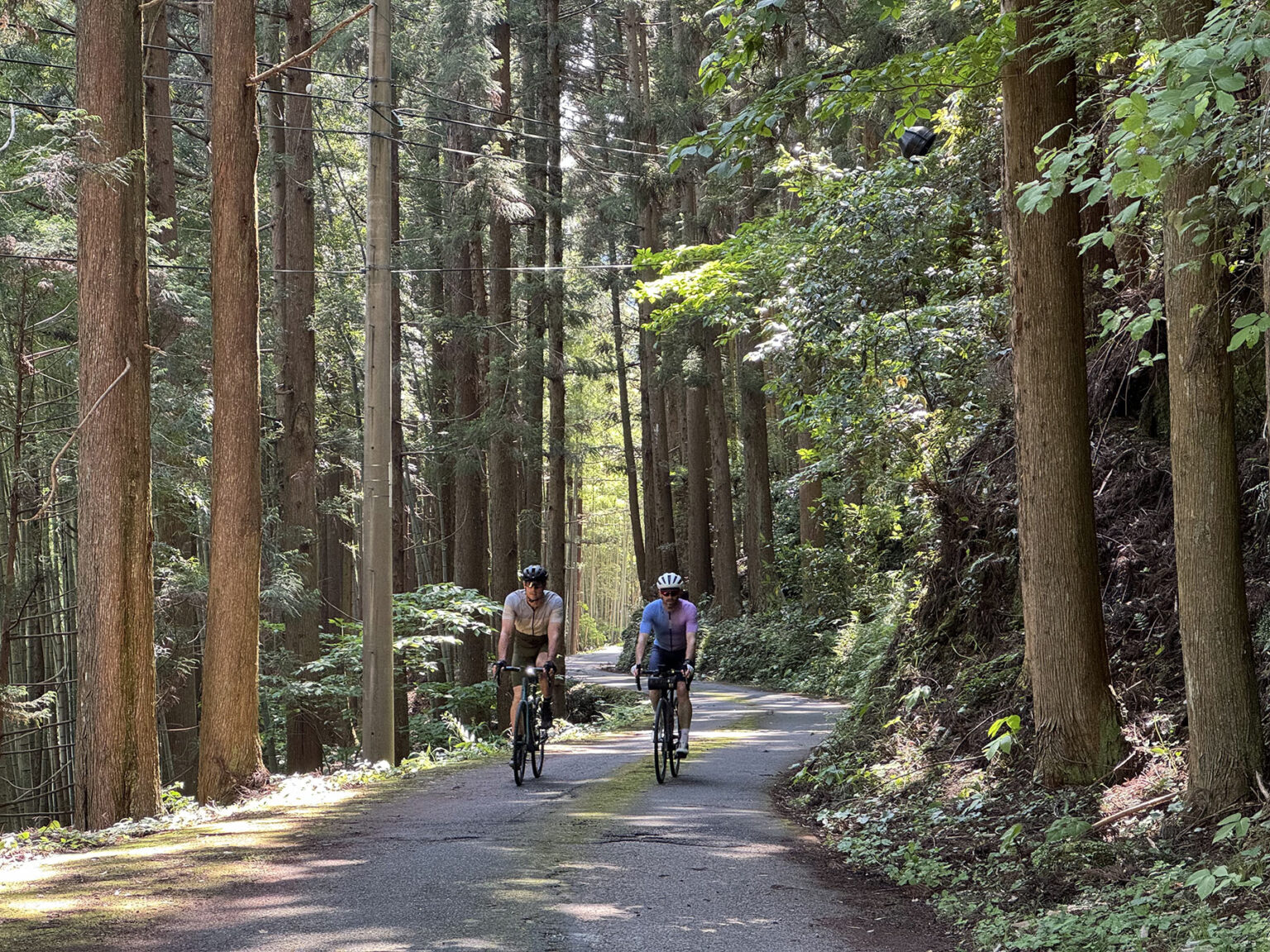 Review: Ride & Seek Samurai Cycling Tour Delivers a Quieter Side of ...