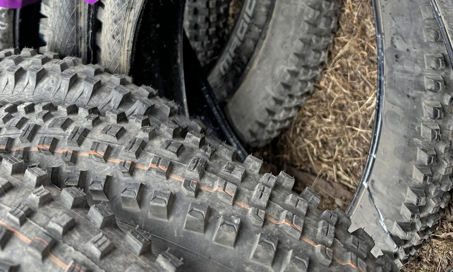 Review: Schwalbe Albert Gravity & Trail Radial MTB Tires Simply Grip ...