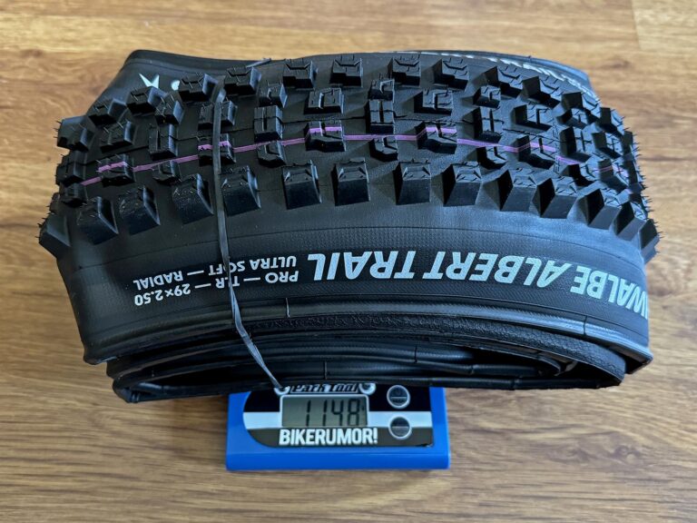 Review: Schwalbe Albert Gravity & Trail Radial MTB Tires Simply Grip ...