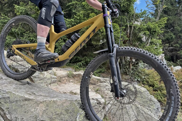 Review: Schwalbe Albert Gravity & Trail Radial MTB Tires Simply Grip ...