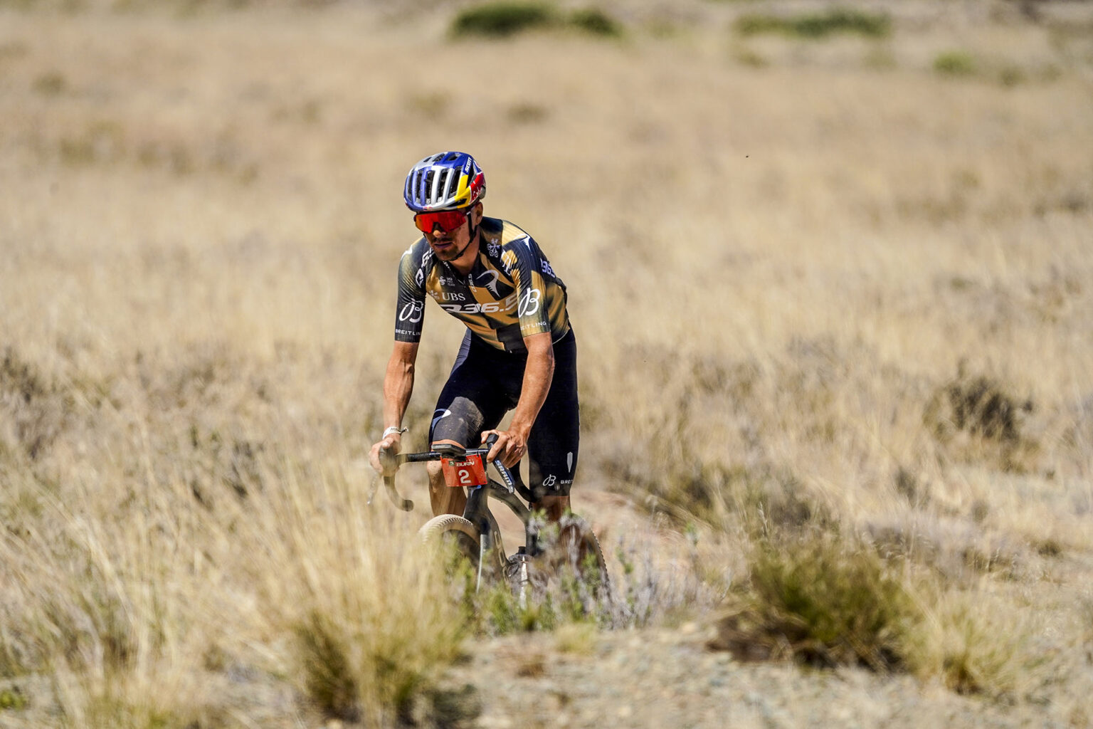 Vittoria Thinks Brown Tires are the Future with New Terreno PRO Gravel ...