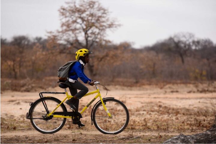 Le Tour de France Invites You to Celebrate World Bicycle Day! - Bikerumor